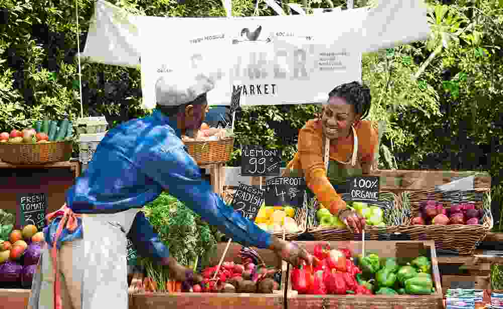 History – Best Agro